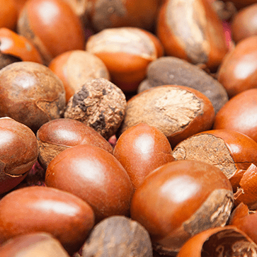 Shea Butter One-Minute Hand Scrub 30ml| L’Occitane SG