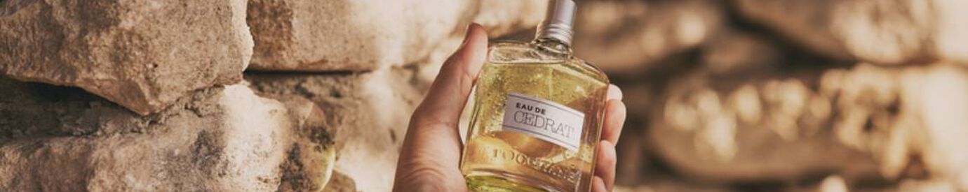 Energizing Cedrat Collection For Men | L'Occitane